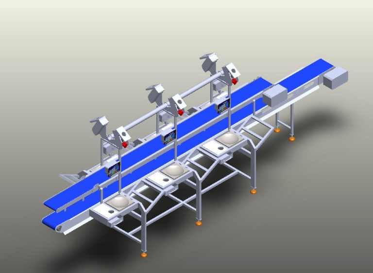 Stainless Packing station Conveyors - LS Engineering